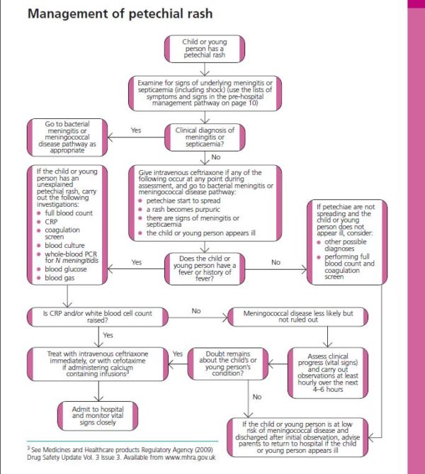 More than a Spot Check? Quality Standards in Meningococcal Septicaemia