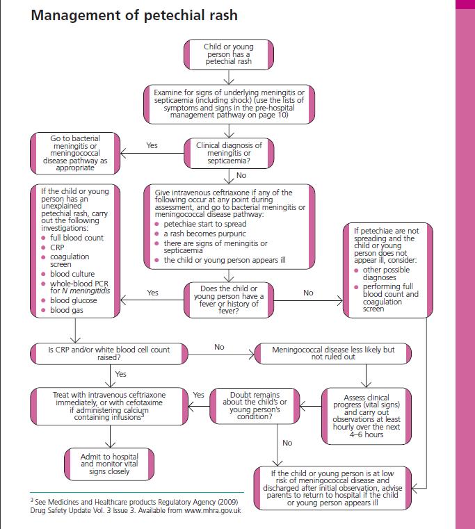 More than a Spot Check? Quality Standards in Meningococcal Septicaemia