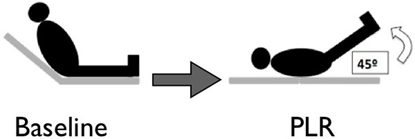 Maestrini, Frank, Starling, Guyton.......and Fluids at St.Emlyn's • St ...
