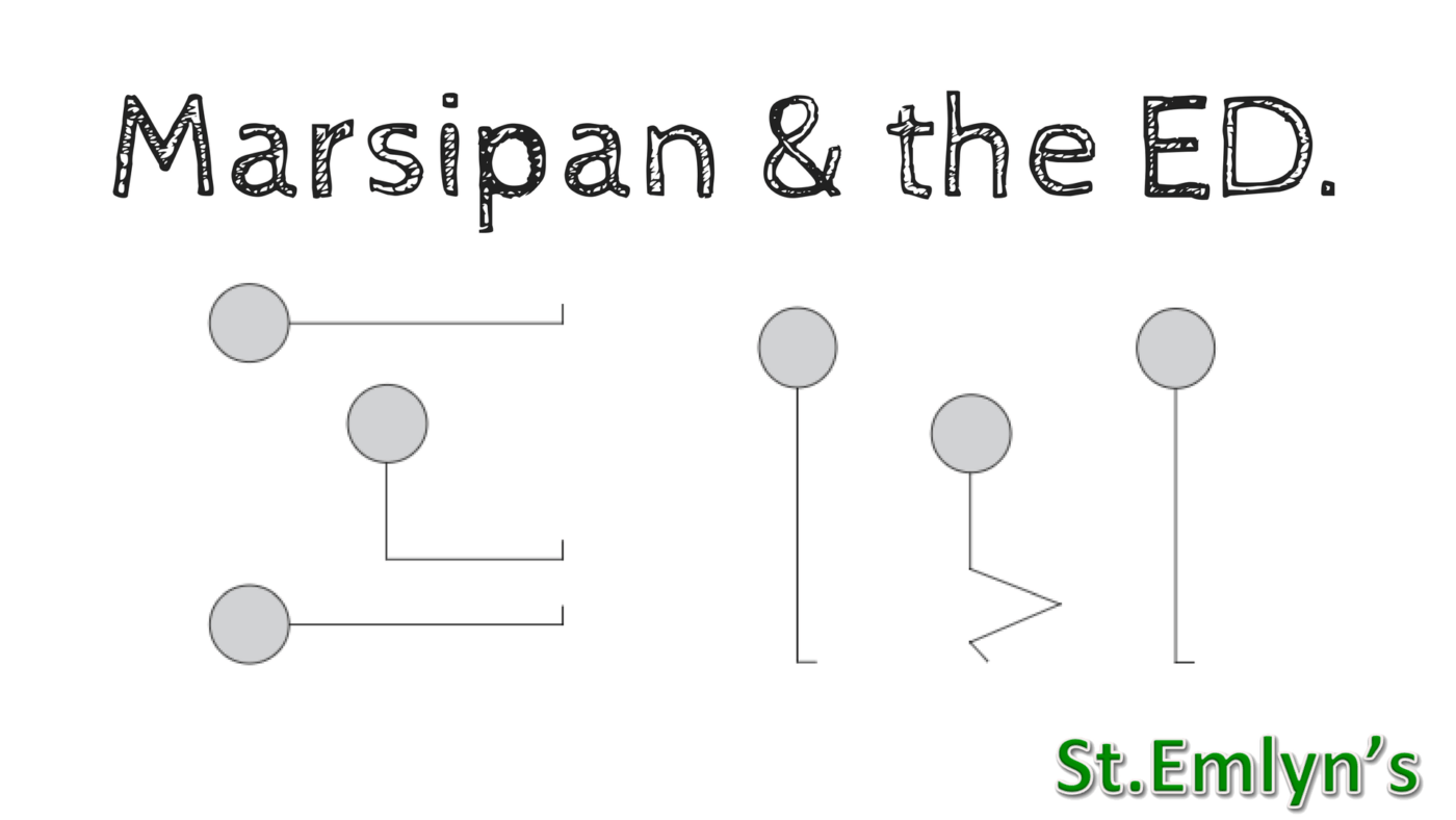 MARSIPAN – Not just for (Christmas) Cakes. St.Emlyn's • St Emlyn's