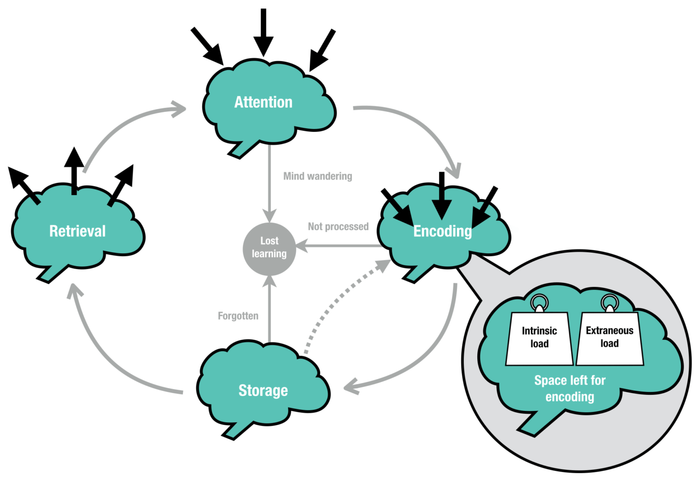 Educational theories you should know: Dual-Coding • St Emlyn's