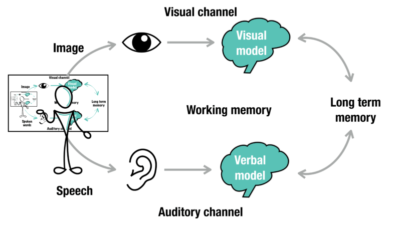 Educational theories you should know: Dual-Coding • St Emlyn's