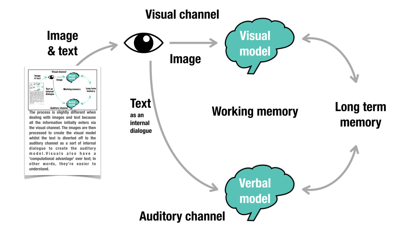 Educational theories you should know: Dual-Coding • St Emlyn's