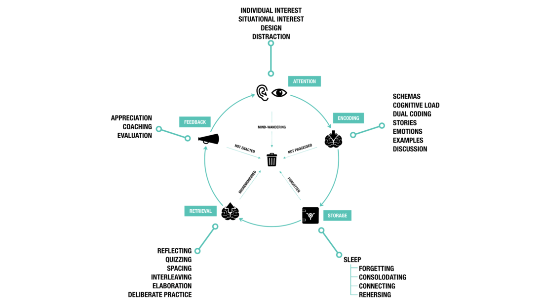 A decade of education theory; the rise and rise of cognitive science of ...