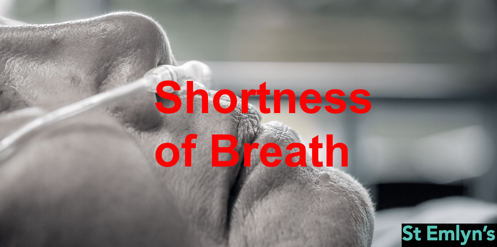 An Introduction to the Breathless Patient in the ED St Emlyns