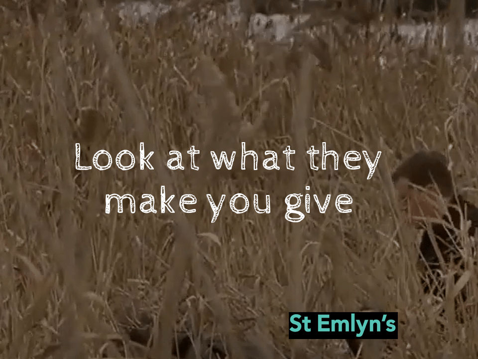 Look at what they make you give • A Cautionary Tale from St Emlyn's