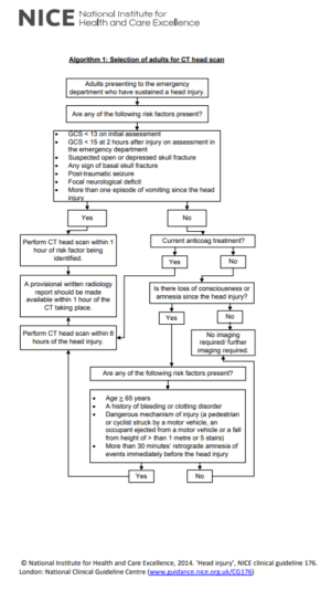 Lesson Plan - Head Injury • St Emlyn's