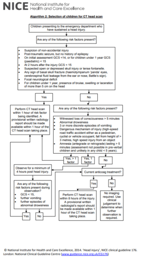 Lesson Plan - Head Injury • St Emlyn's