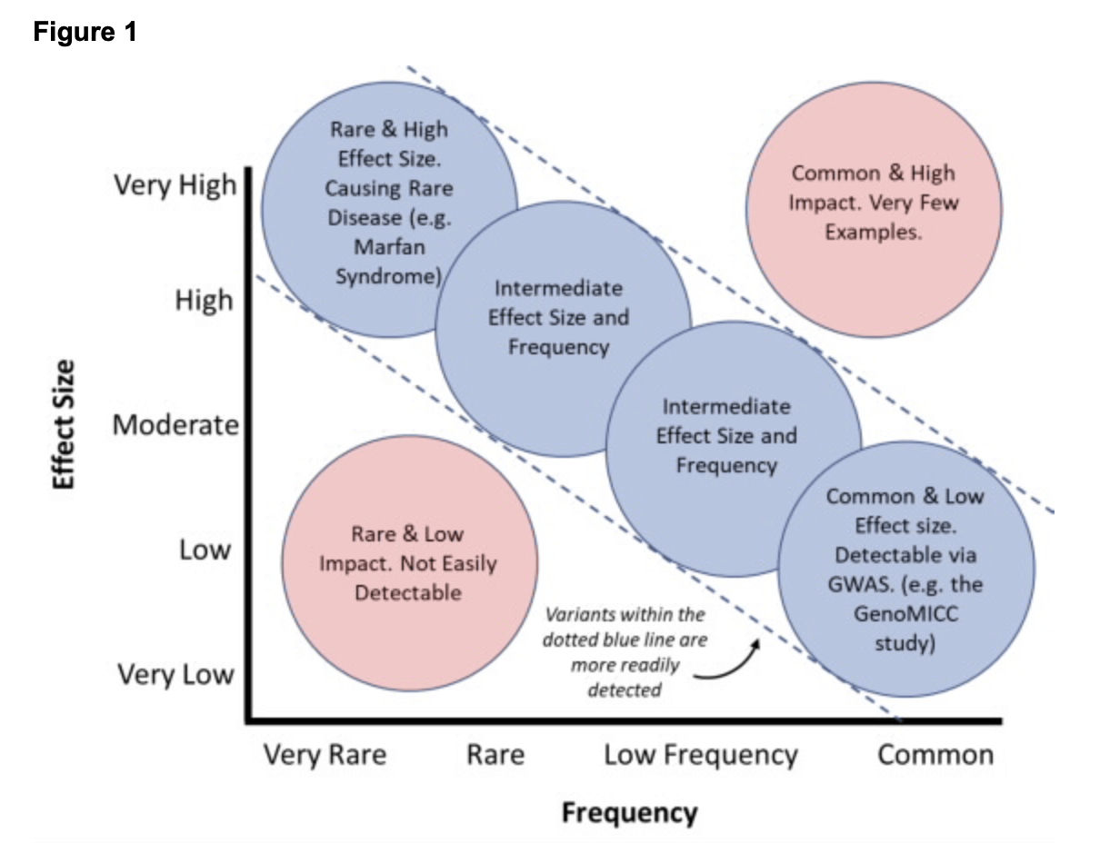 The Emerging Evidence for a Genetic Susceptibility to Severe Covid-19 ...