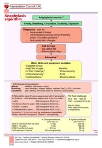 Lesson Plan - Anaphylaxis • St Emlyn's