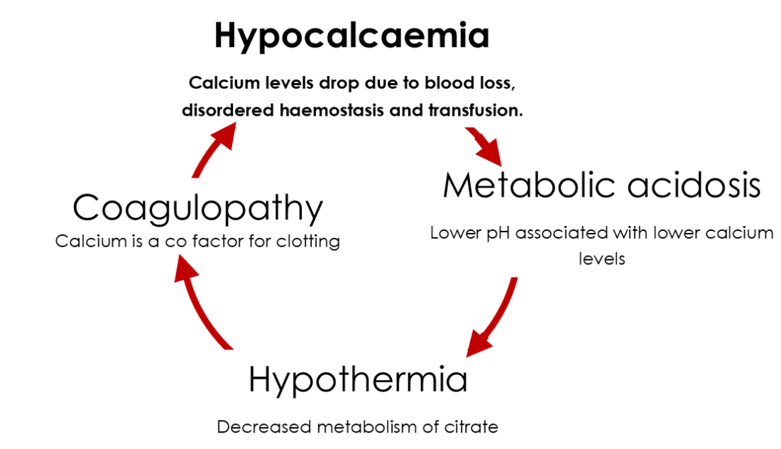 Hypocalcaemia, Trauma and Major Transfusion. St Emlyn's • St Emlyn's
