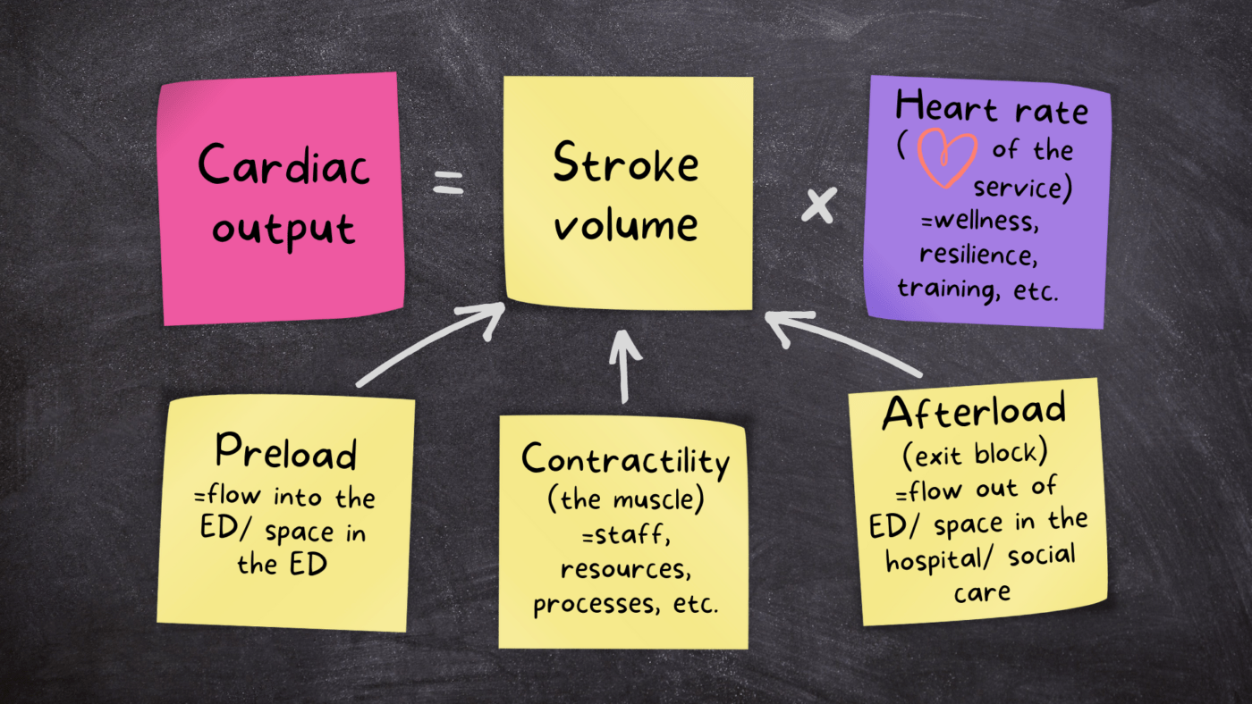 Cardiac output as a metaphor for flow through an urgent care setting ...
