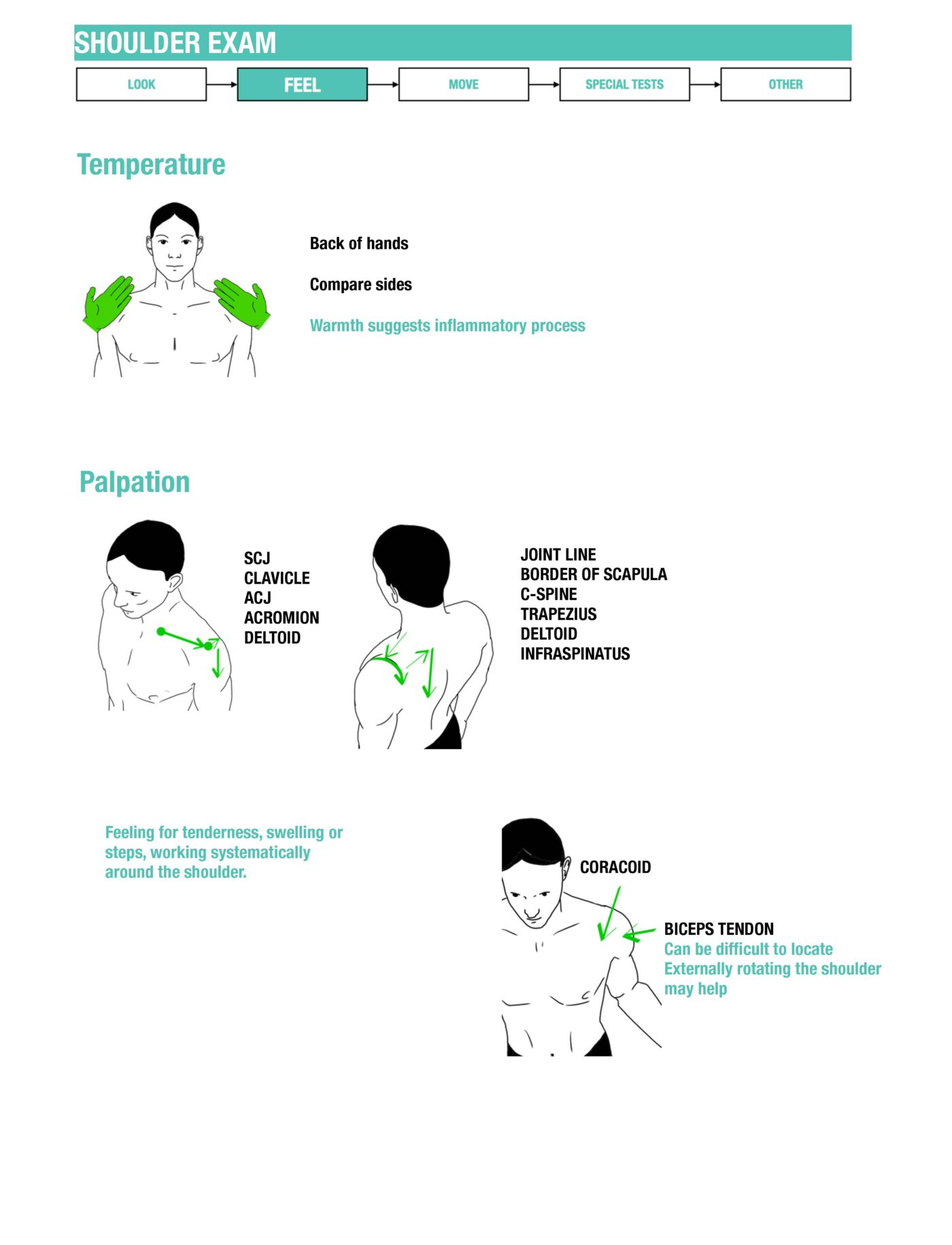 Chapter 7 - Musculoskeletal CPSA Stations • St Emlyn's