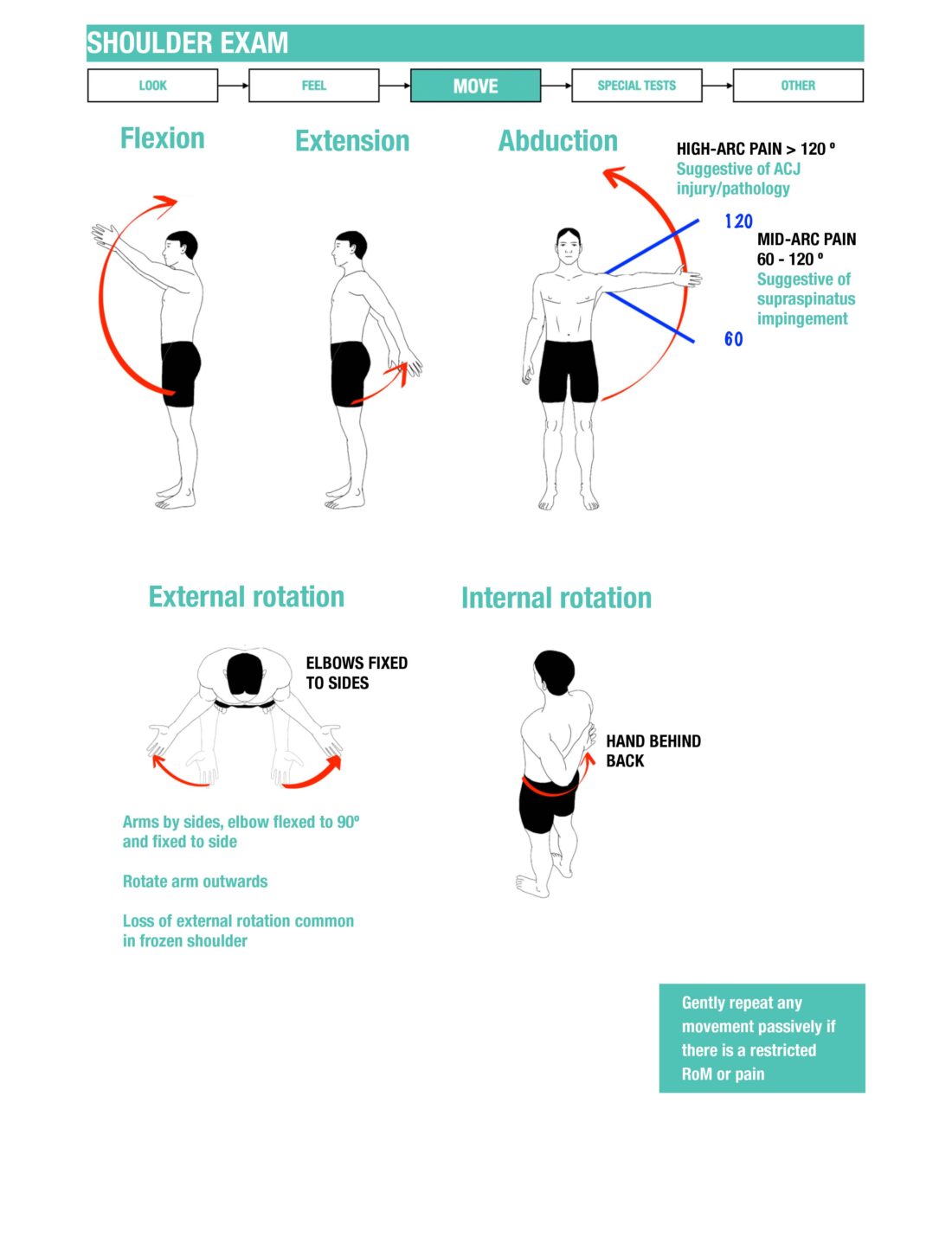 Chapter 7 - Musculoskeletal CPSA Stations • St Emlyn's
