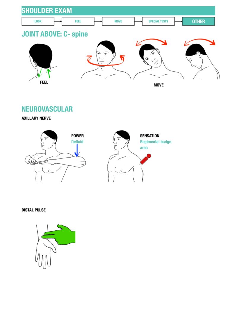 Chapter 7 - Musculoskeletal CPSA Stations • St Emlyn's